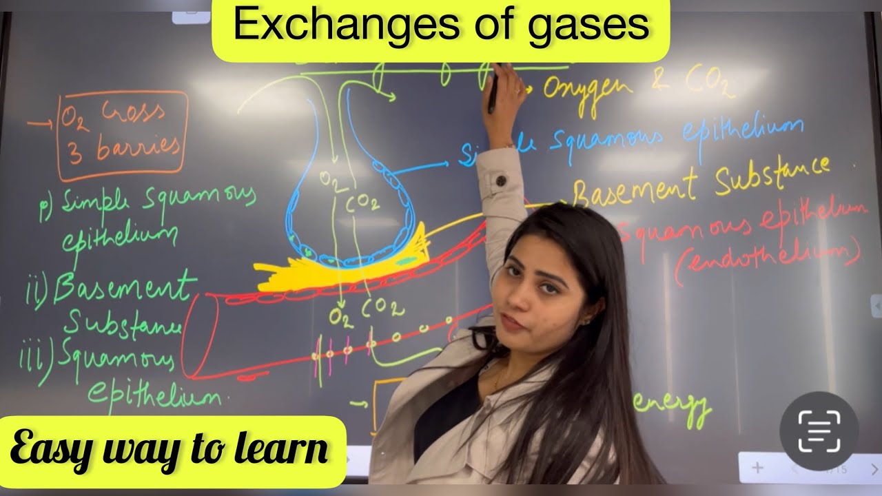 “Exchange of Gases ”| Easy way to learn | - YouTube