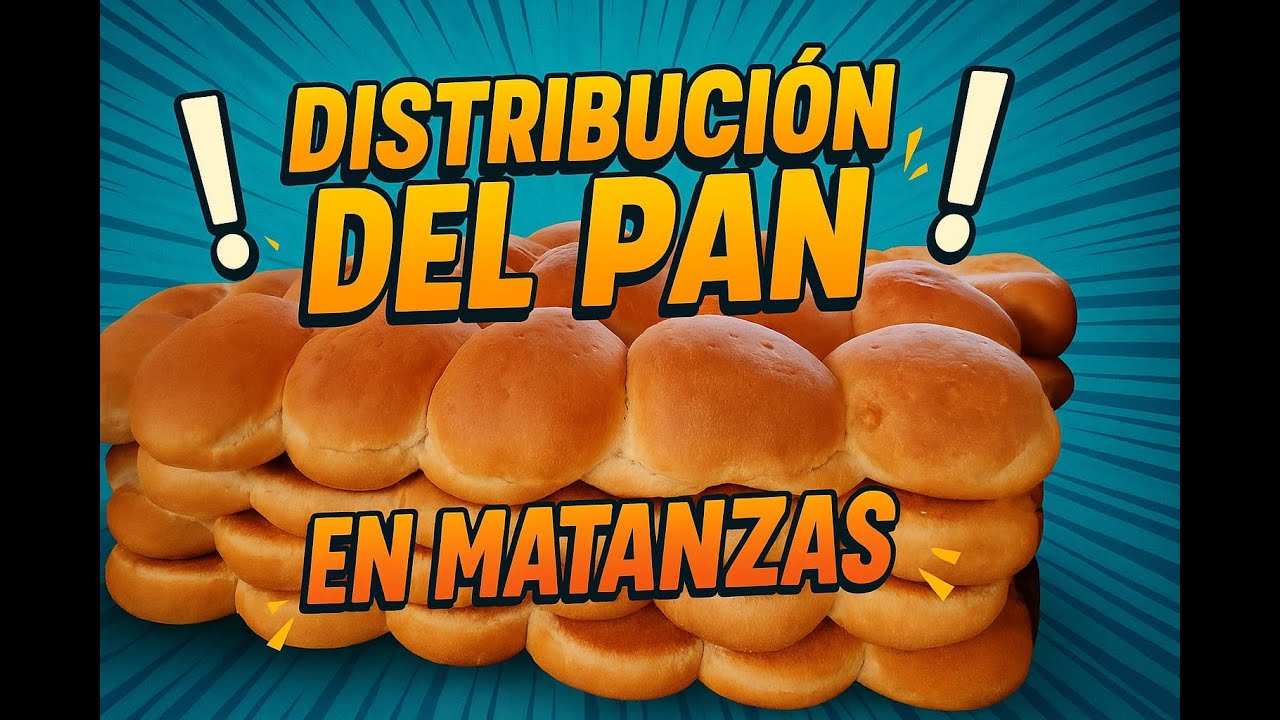 ¿Cómo está funcionando la distribución del pan en Matanzas? Conoce los ...