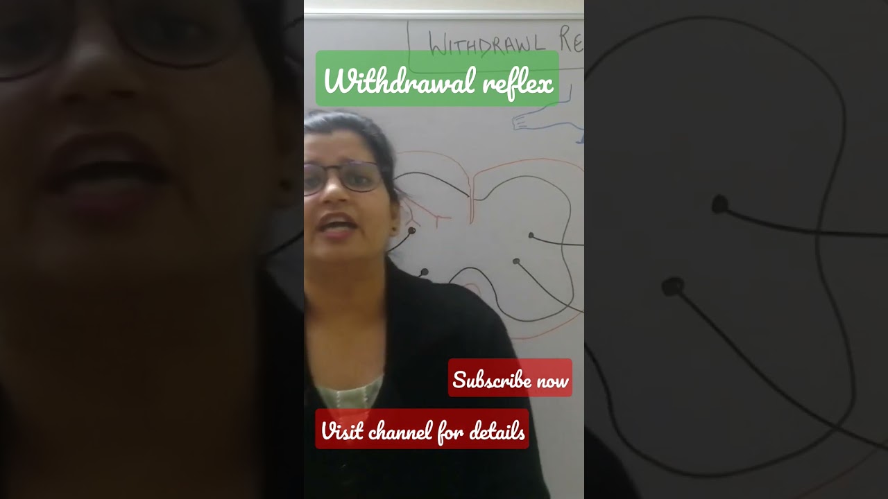 Withdrawal reflex #shorts #physiology - YouTube