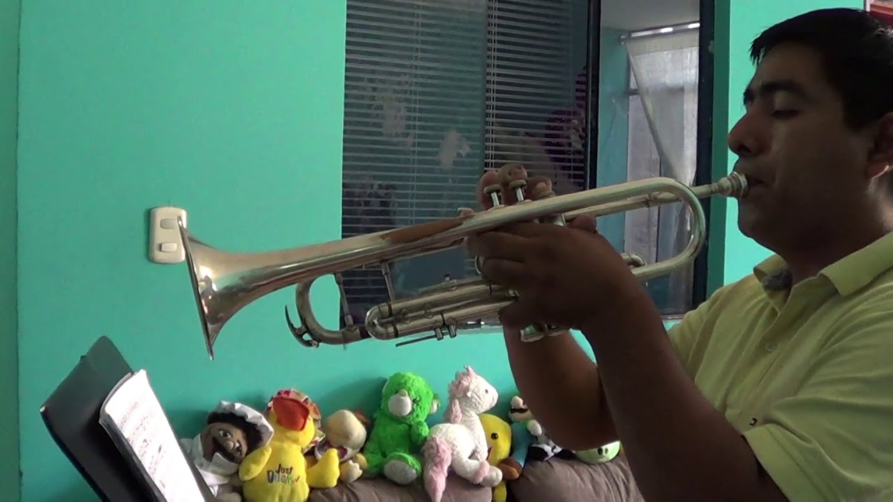 QUIERO LLENAR TU TRO.... / EL MEJOR TUTORIAL DE TROMPETA - YouTube