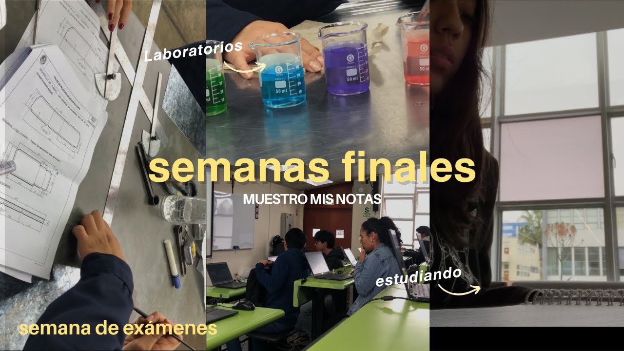 Mis notas 😪, semana de exámenes finales. - YouTube