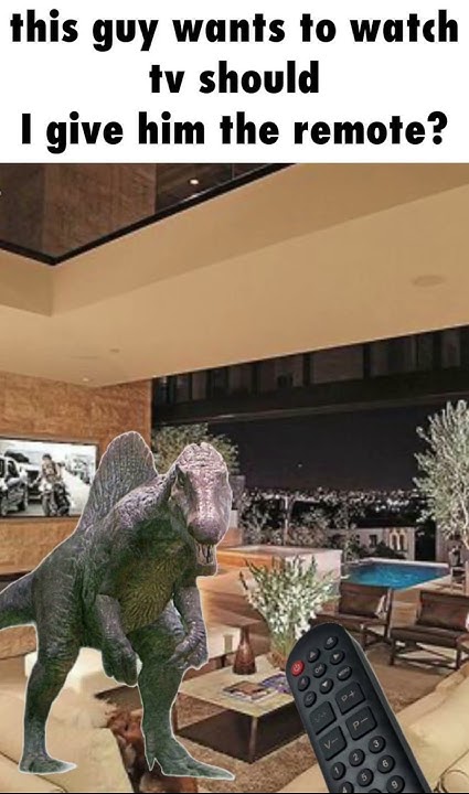 Should I give him the remote?(random meme) - YouTube