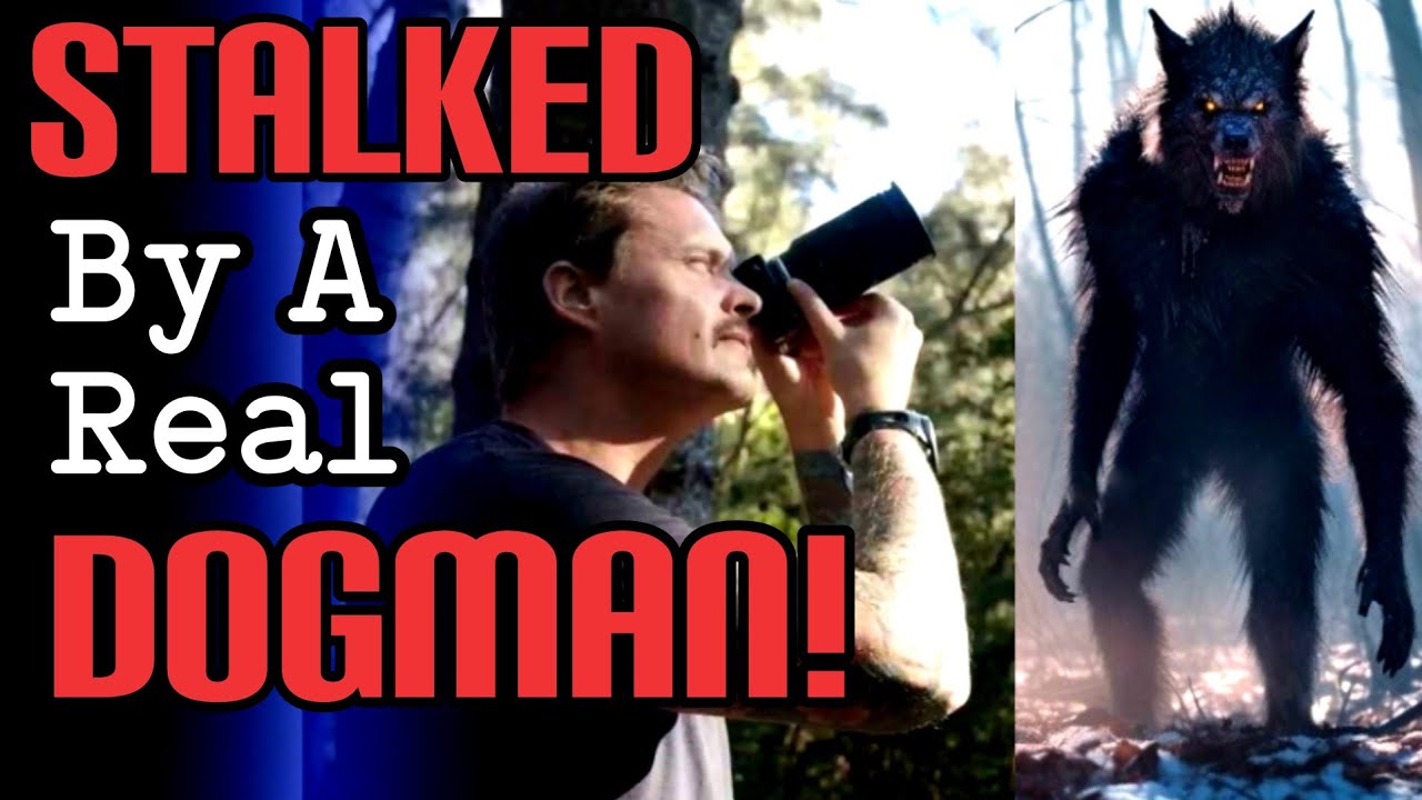 SHOCKING PHOTO! + Real Reports | Five True Dogman Cryptid Encounter ...