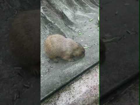 Sunway Lagoon | Jasmine Kang