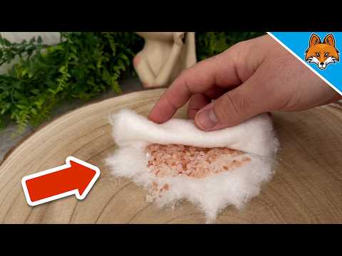 EVERYONE asks me why it smells SO GOOD in my House💥(THIS is my SECRET)🤯