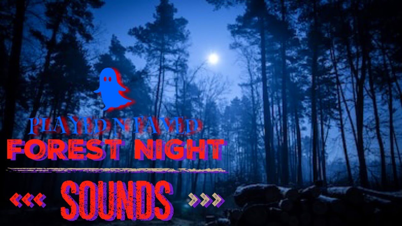Forest Night Sounds / Crickets Owls Rain Wind in Trees / Sound Of ...