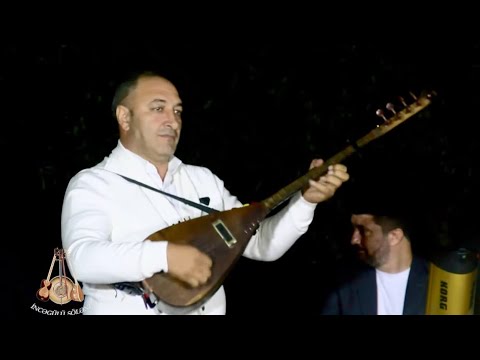 Təranə Gədəbəyli \