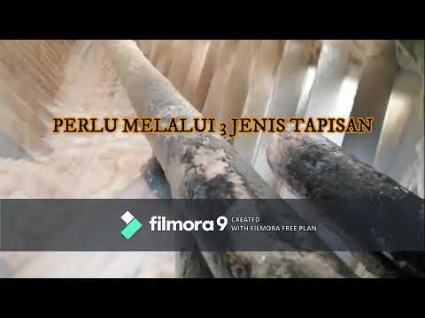 BABA NYONYA GEMBIRA BERLAGU, POKOK RUMBIA TEPUNG SAGU, DALAT SARAWAK ...
