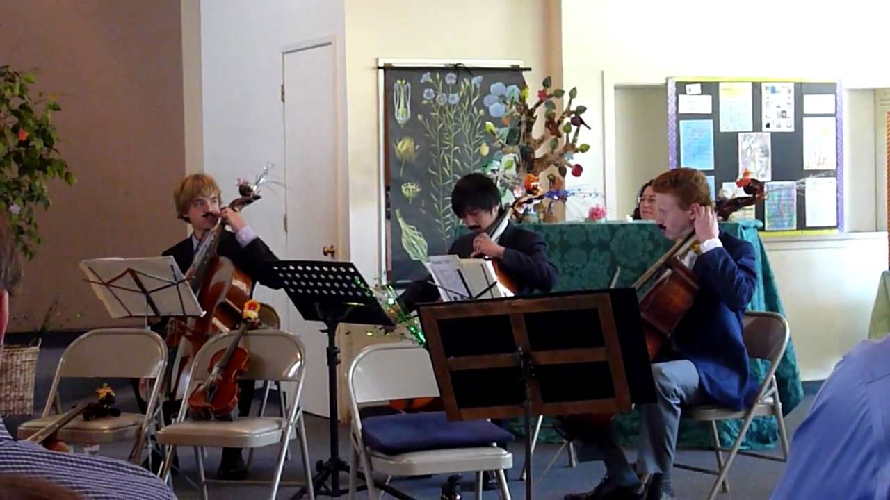 Pink Panther -- Cello - YouTube