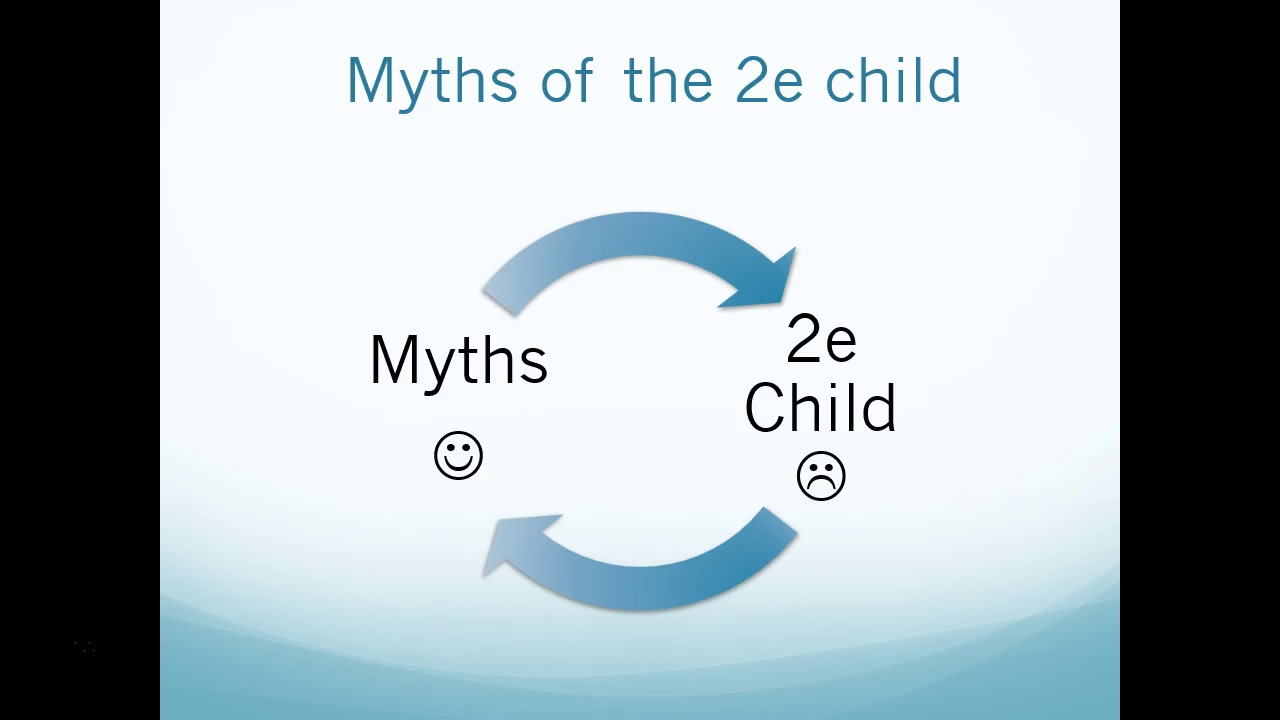 Parenting Strategies for Supporting Your 2E Child: It Starts With You ...