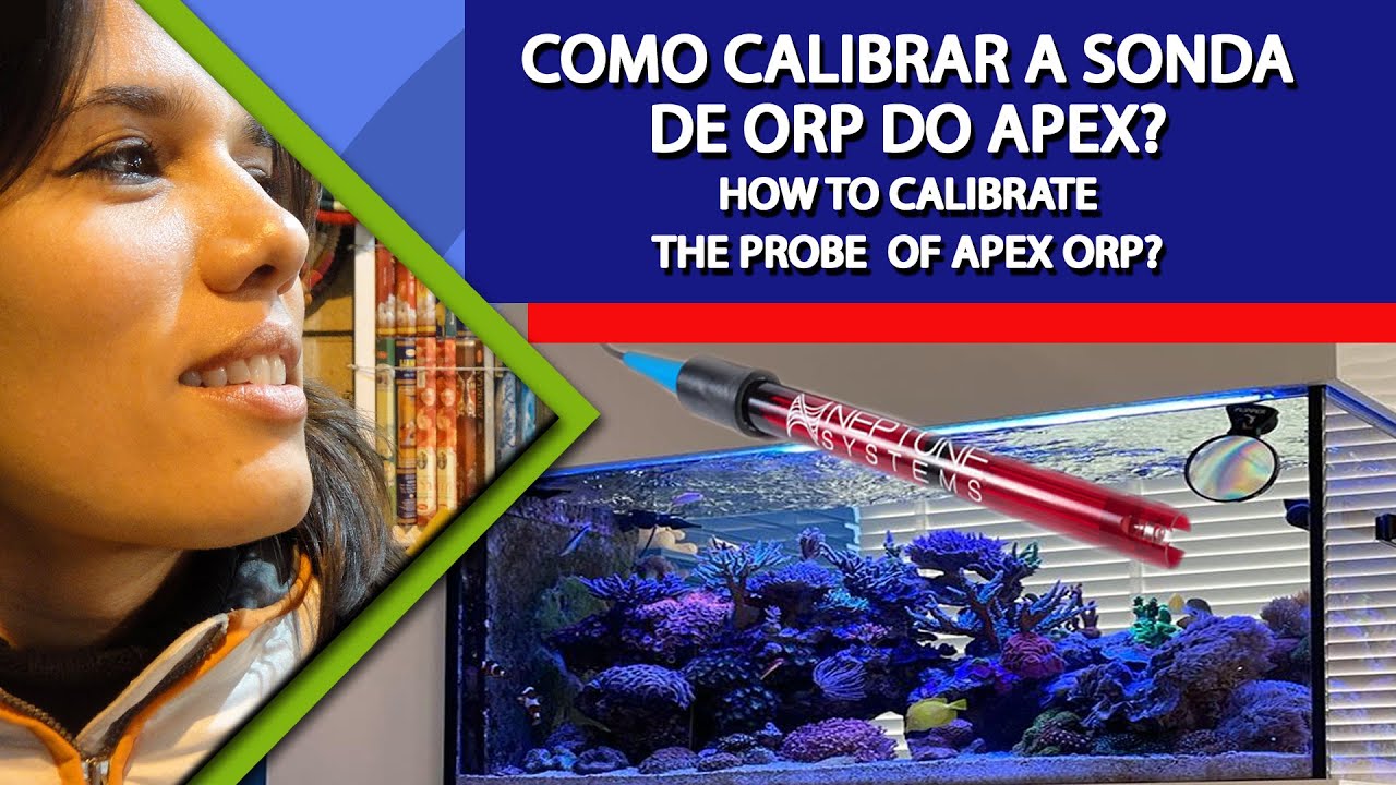 COMO CALIBRAR A SONDA DE ORP DO APEX? - HOW TO CALIBRATE THE PROBE OF APEX ORP? - YouTube