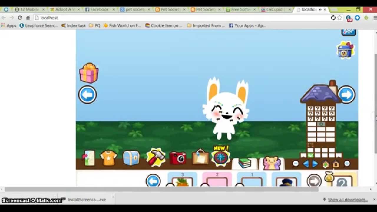 How to use the Pet Society nofil server (ENGLISH) - YouTube