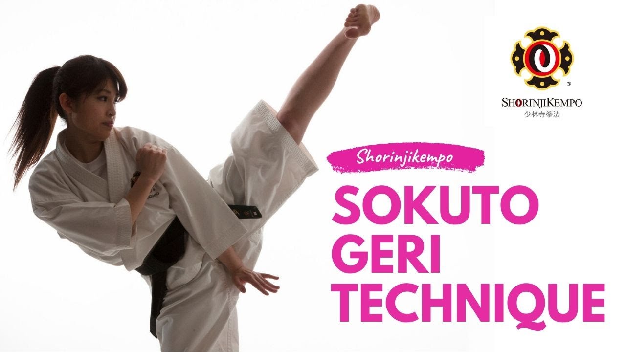 SOKUTO GERI TECHNIQUE/ 足刀蹴りのテクニック - YouTube