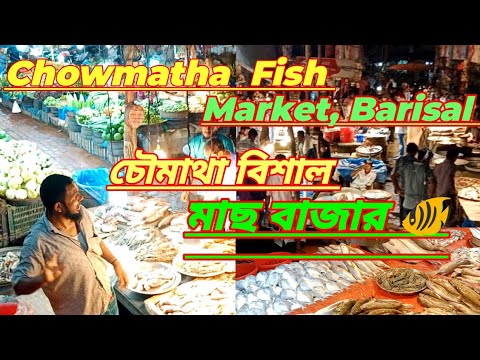 Biggest Fish Market In Barisal Bangladesh ll Chowmatha  Fish Market Barisal ll Big Fish Market ll