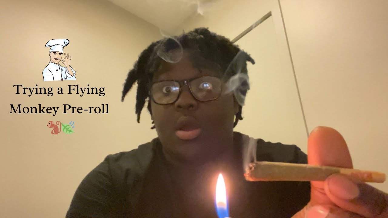 Flying Monkey Pre-roll had me geeked😵‍💫😮‍💨 - YouTube