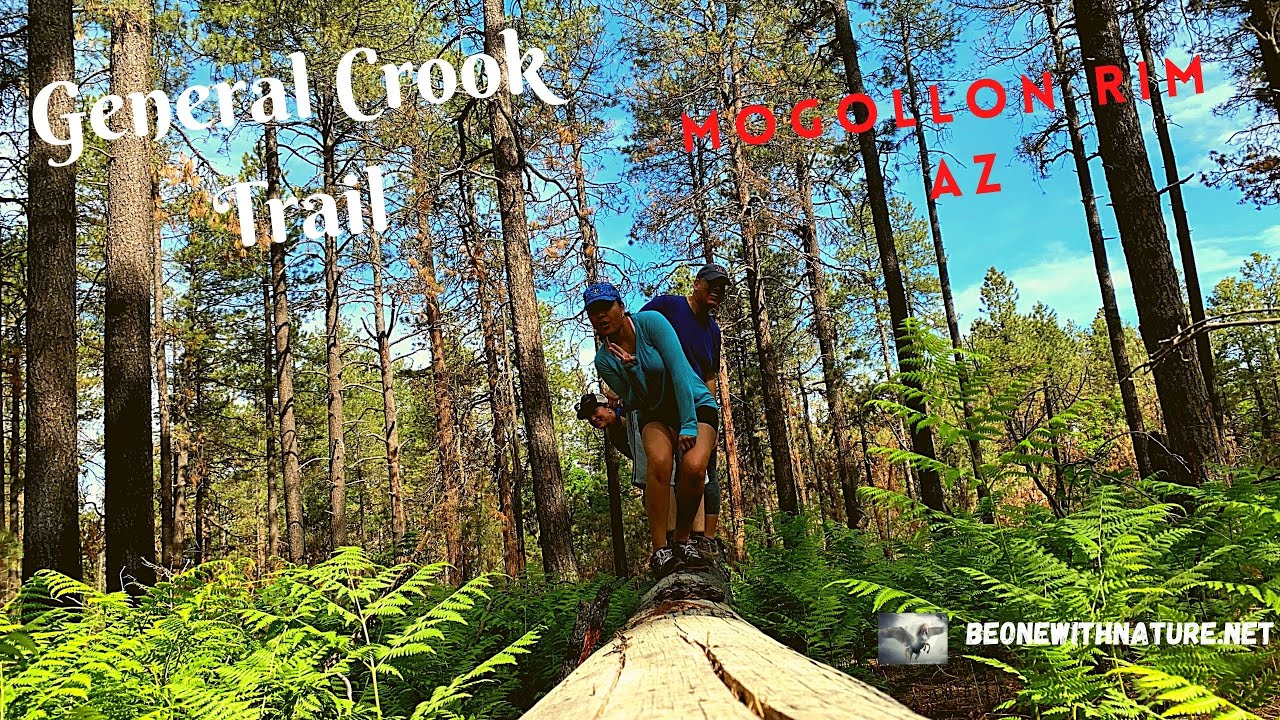 General Crook Trail- near Mogollon Rim! - YouTube