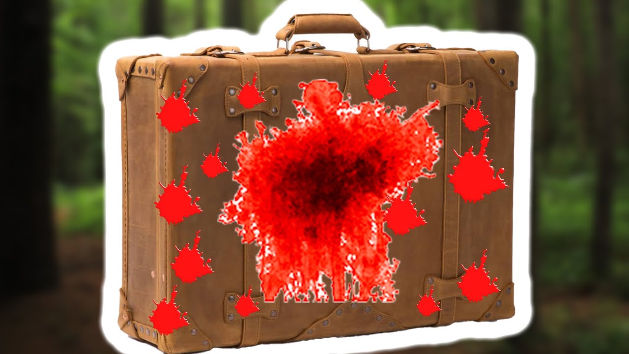 You Won't BELIEVE What's Inside The Briefcase - Camping Horror Game ...