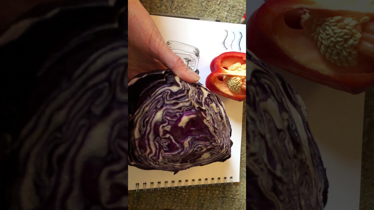 Year 4 cross sections of vegetables - YouTube