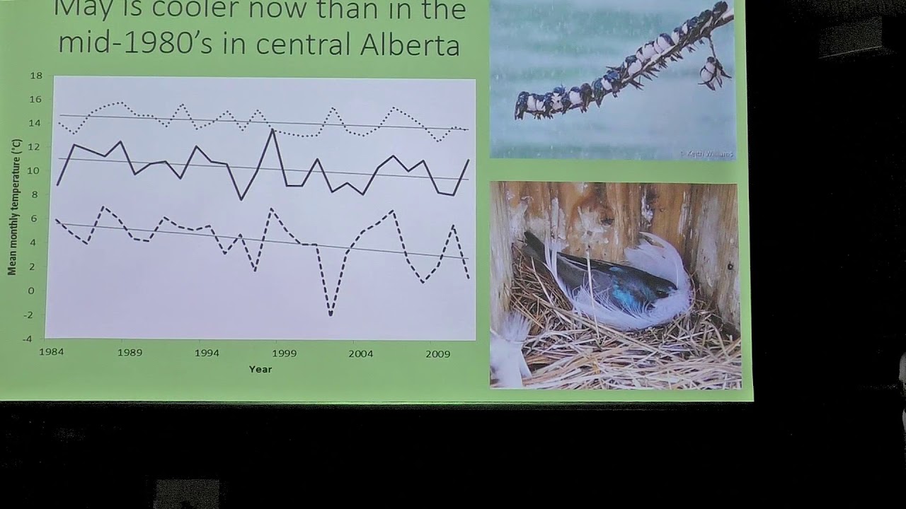 Geoff Holroyd Lecture EBF - YouTube