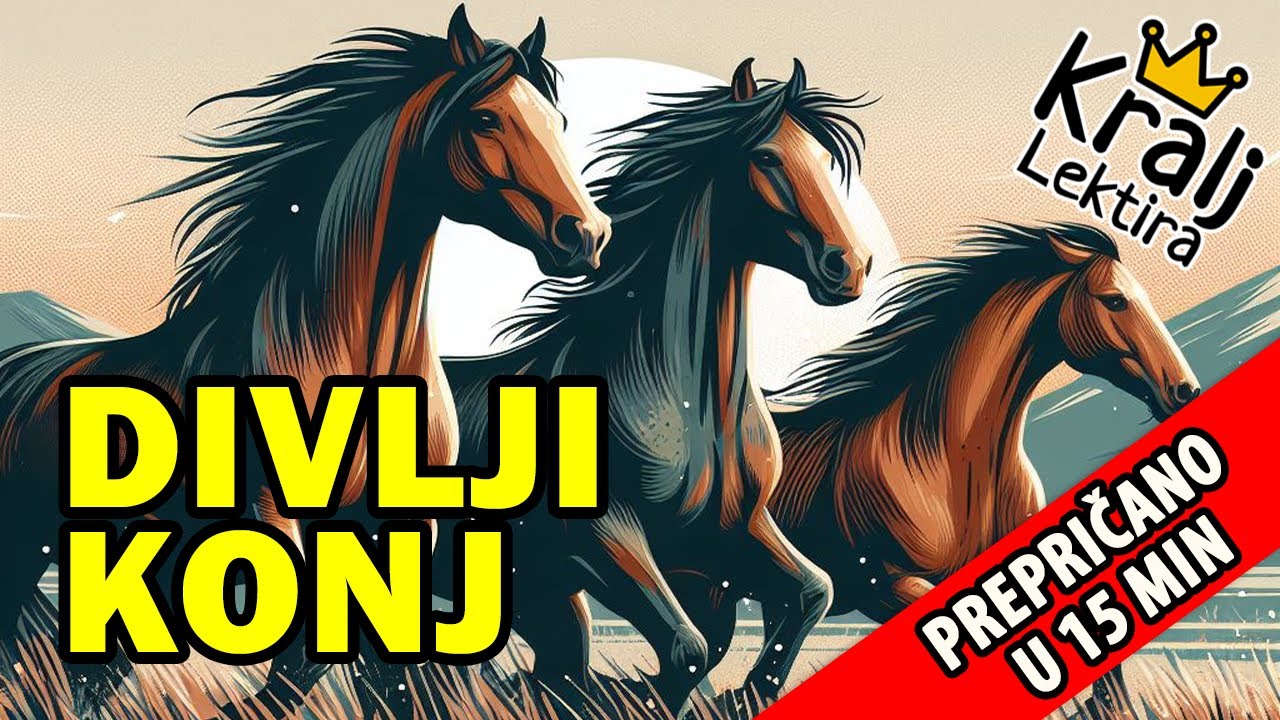Divlji konj lektira, kratak sadržaj - Lektire.hr - YouTube