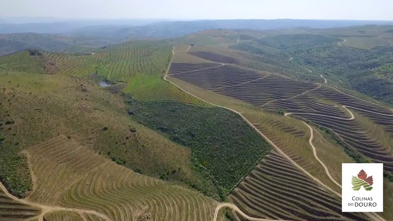 Colinas do Douro - YouTube