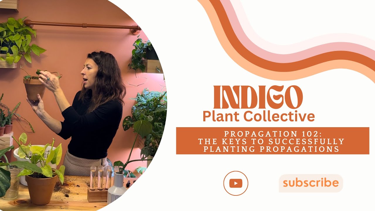 Propagation 102: The Keys to Successfully Planting Propagations - YouTube