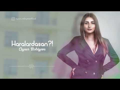 Aynur Nebiyeva - Hardasan 2024