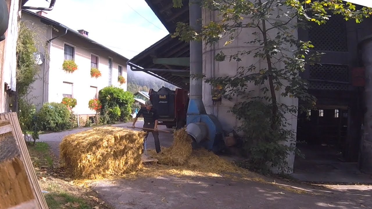 Random Farm Work | Small Dairy Farm - YouTube