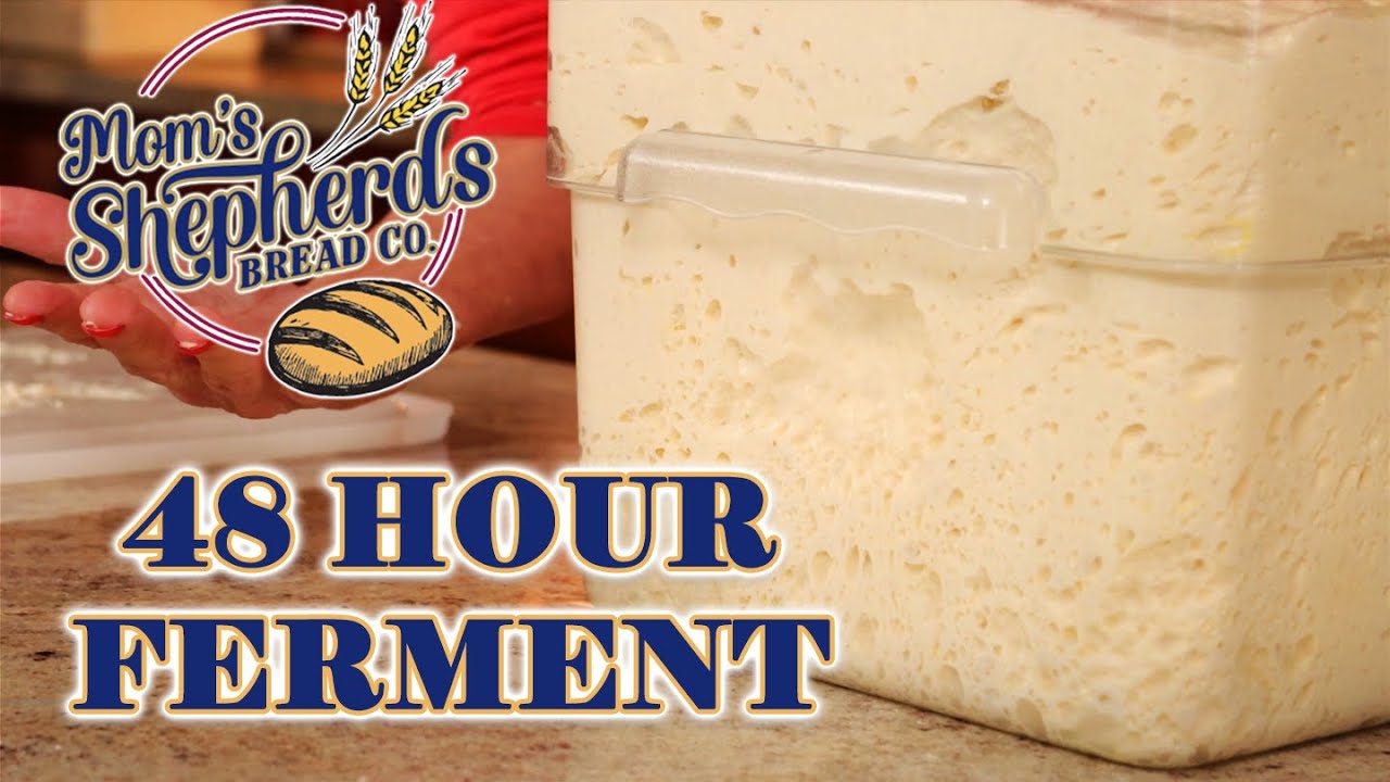48-Hour Sourdough: Why Long Fermentation Makes Better Bread - YouTube