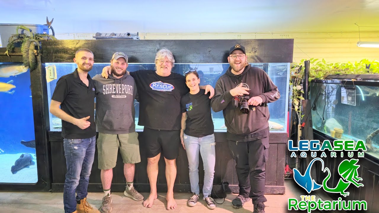 We Get a Visit from The Legasea Aquarium & Reptarium! - YouTube