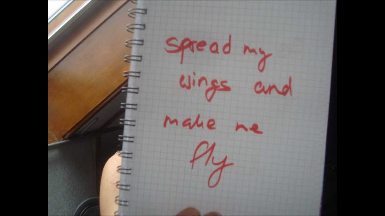 Katy Perry - Hummingbird Heartbeat (lyrics HD) - YouTube