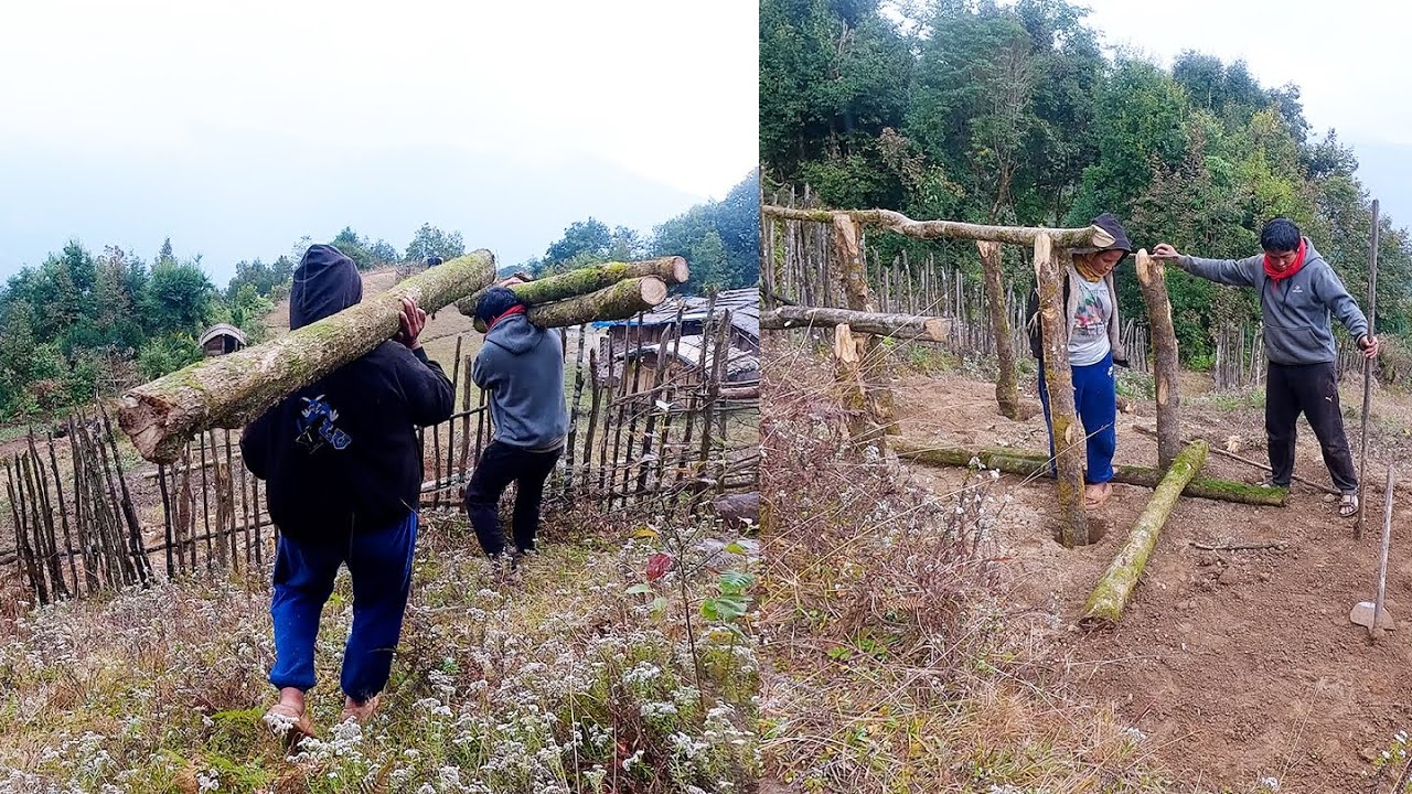 We are building small hut near shelter II Carrying pillars from Jungle ...