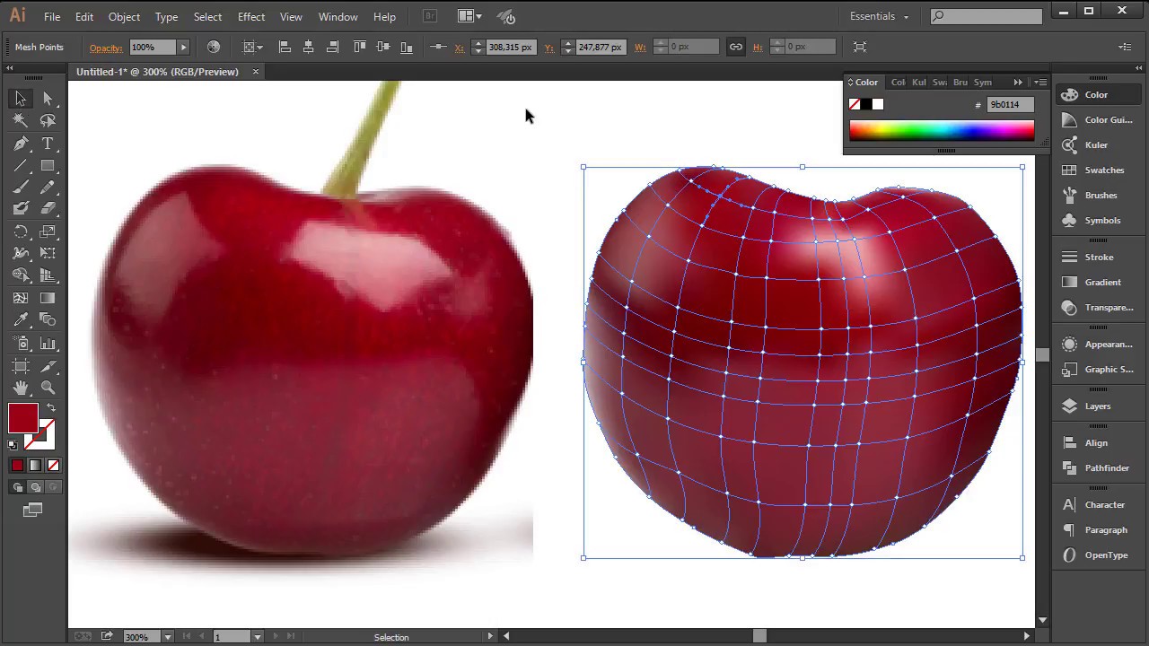 Illustrator - Image Trace vs Mesh Tool (pretvaranje rastera u vektor ...