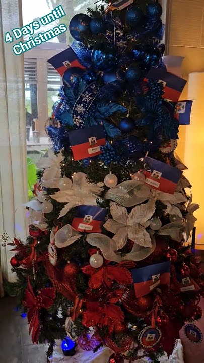 A Haiti Christmas Tree!! #christmas #haiti #holidaytraveller - YouTube
