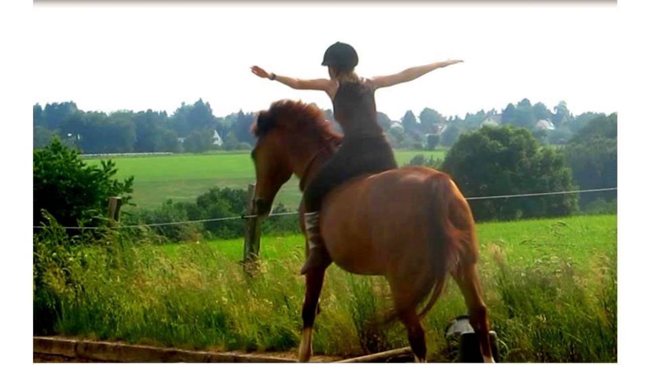 when you can fly- tackless riding- jumping - YouTube