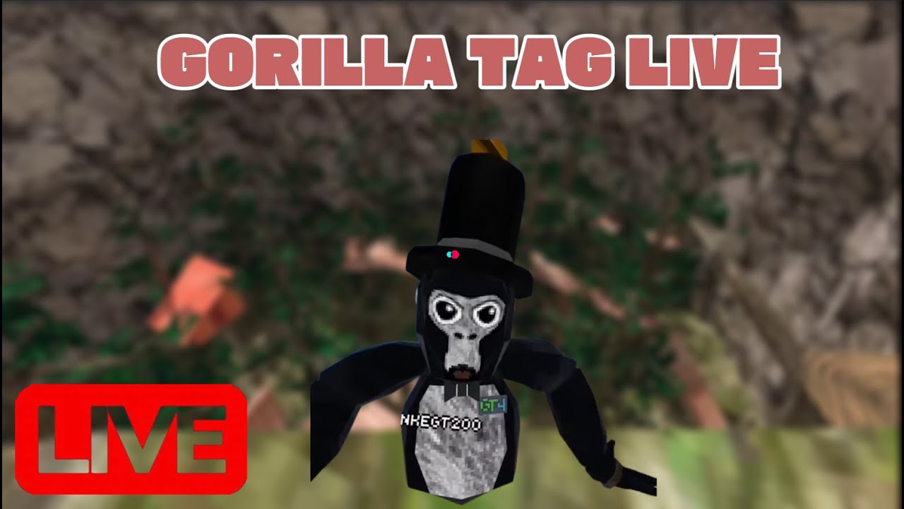 🔴Gorilla Tag Live, MiniGames and more!🔴 (Road to 300) - YouTube