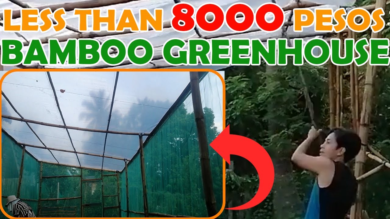BUILDING OUR LOW COST BAMBOO GREENHOUSE TIMELAPSE - 10 Minutes - YouTube