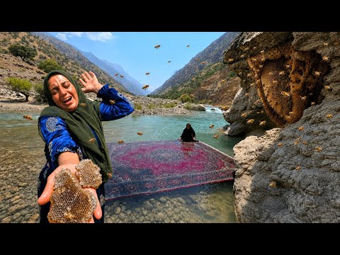 🍯🐝 Harvesting the Rarest Wild Honey | Soghra's Incredible Courage Against Wild Bees