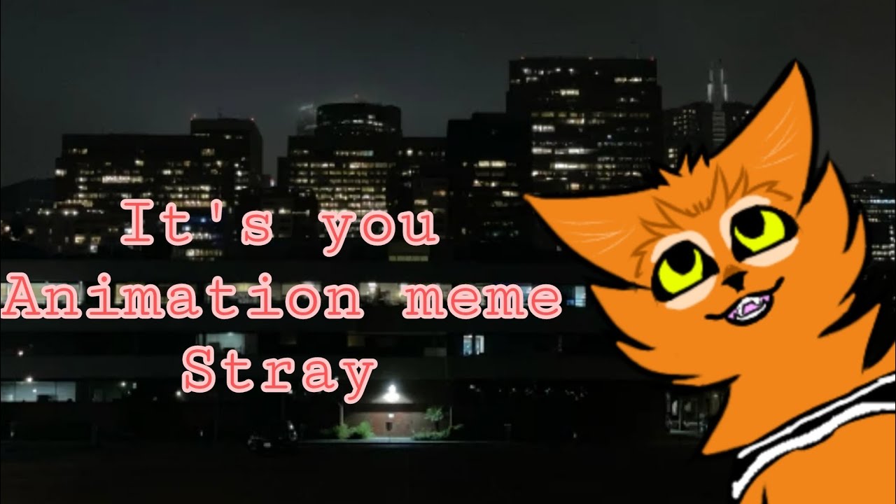 It's you! ♡ - Stray animation/tweening meme - YouTube
