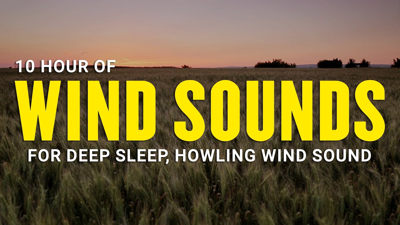 8 Hours of Wind Sounds for Deep Sleep | Strong Howling Wind Sound - YouTube