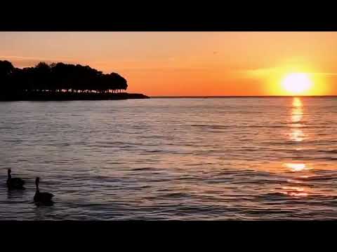 morning sunrise | Aesthetic sunrise sunshine | relaxing morning | sunrise whatsapp status | peaceful