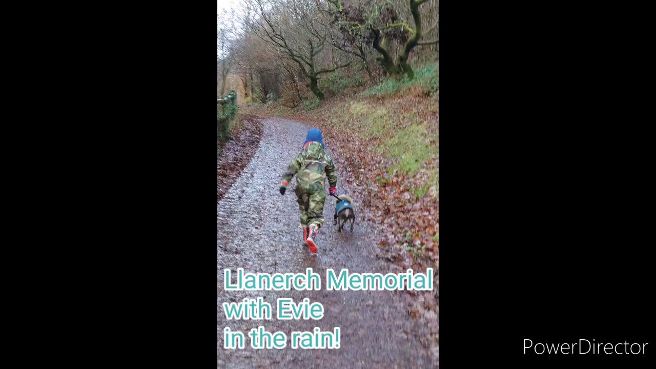 Llanerch Memorial with Evie in the rain! - YouTube