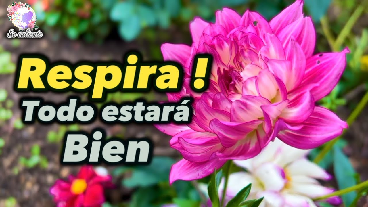 ¡Respira! Todo estará bien Hermoso mensaje de reflexión para levantar ...