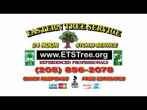Eastern Tree Service JUN2015 - YouTube