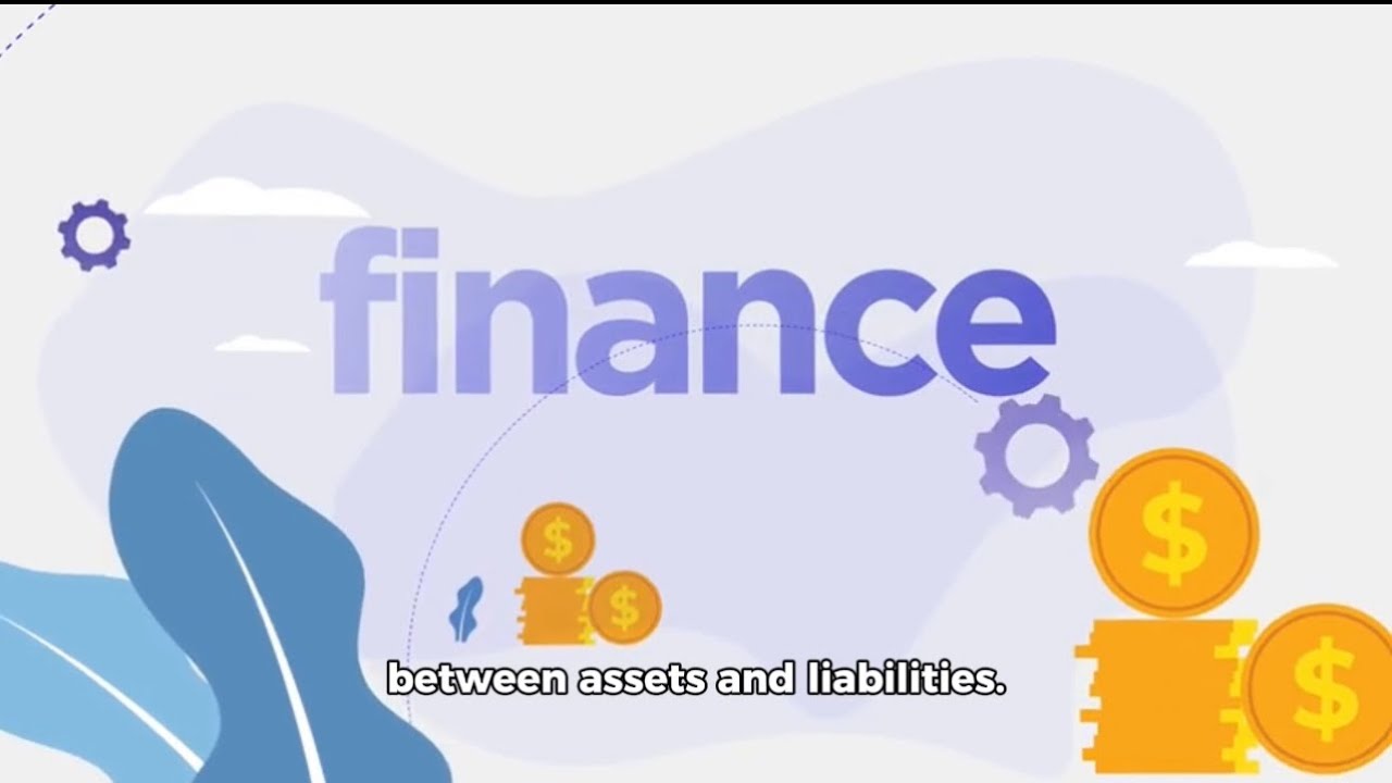 Difference Between Asset And Liability Youtube 6928