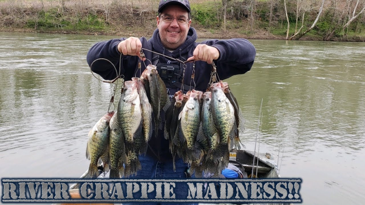 River Crappie Fishing Madness!! - YouTube