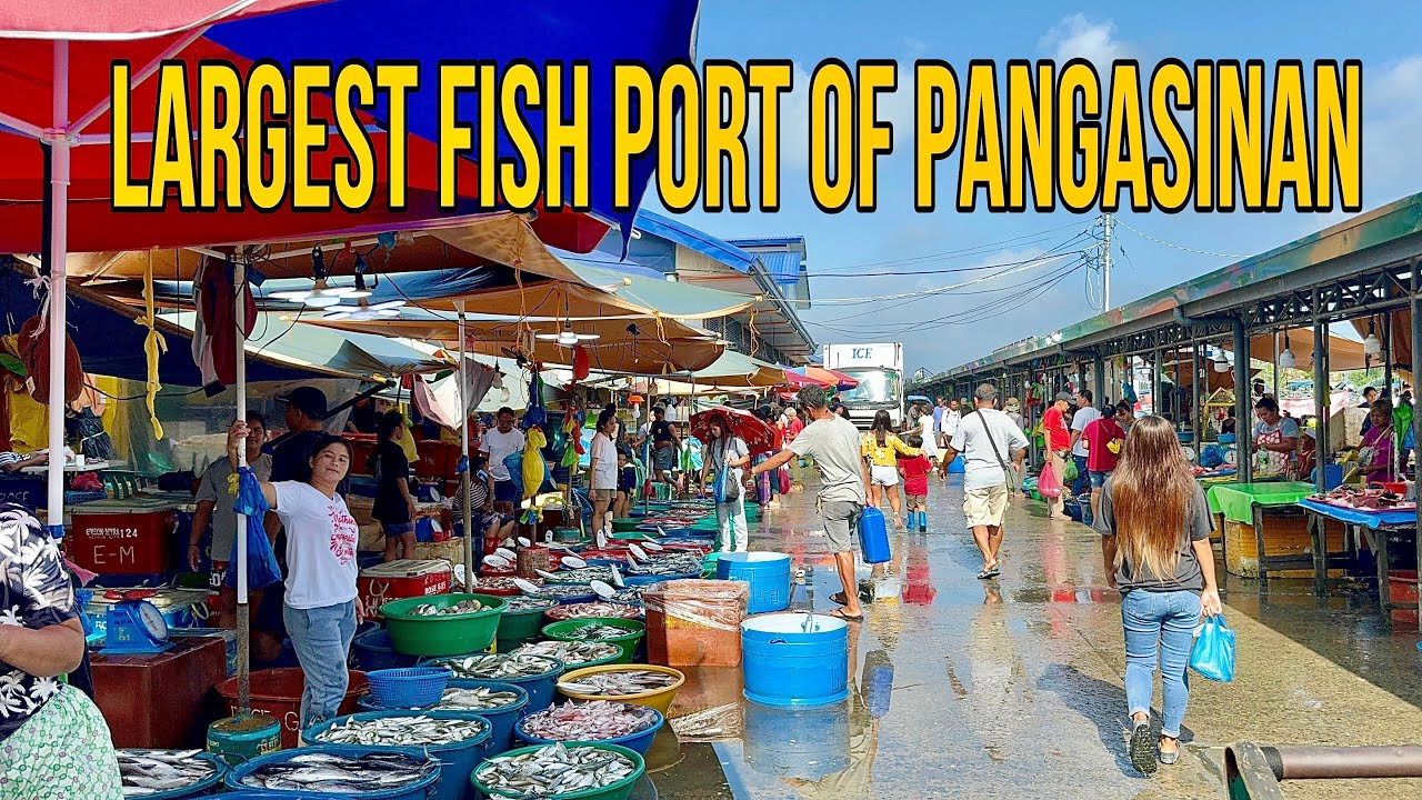 Magsaysay Fish Port in Dagupan | Largest Fish Drop-Off Point in Dagupan ...