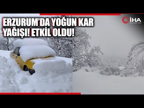 Uzundere’de Son 40 Yılın En Yoğun Kar Yağışı Hayat Felç Oldu