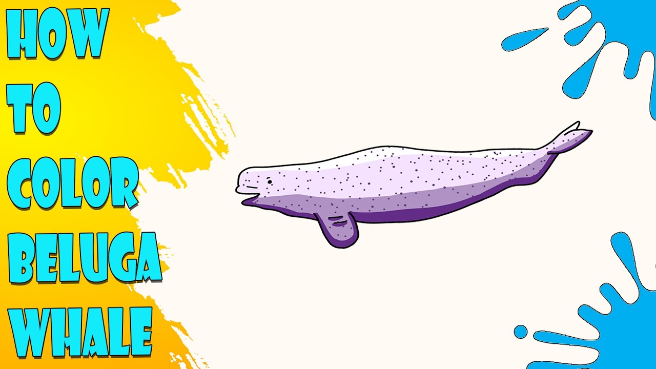 Beluga Whale Pictures To Color