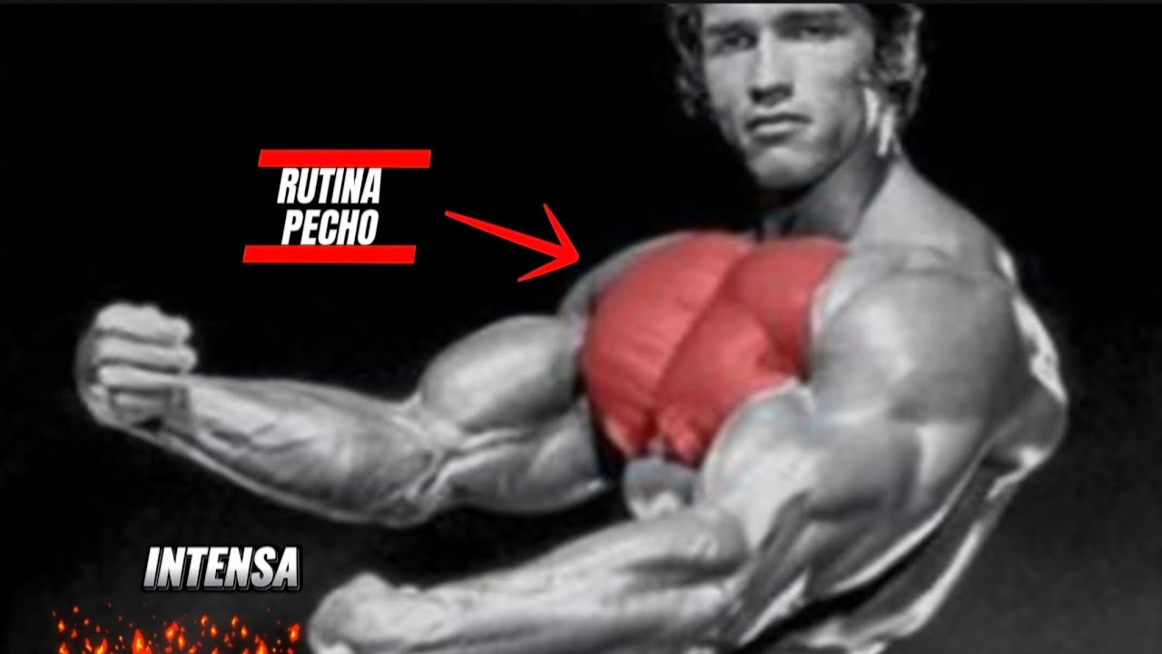 La Mejor rutina para pecho y tríceps:Aumento pectorales - YouTube